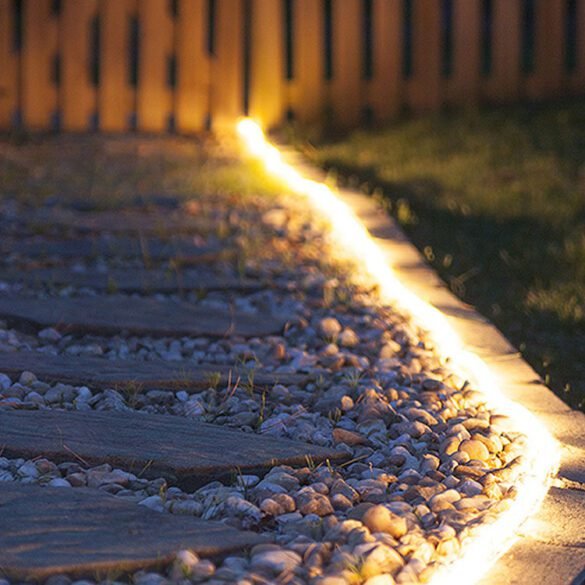 Clusia Hedge Magic: A Natural Privacy Screen Like No Other